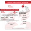 AHA ACLS Provider eCard - Shop Vitali